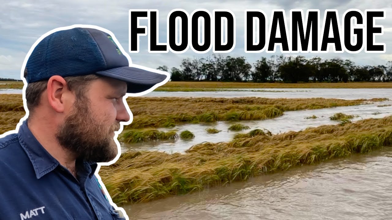 Clean Up Begins - Moree 2022 Flood - YouTube