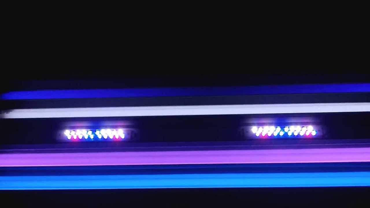 ATI led powermodule with t5 bulbs - YouTube