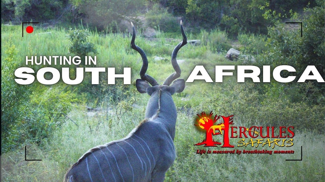 Epic Hunting Adventure in South Africa | Hercules Safaris Experience ...