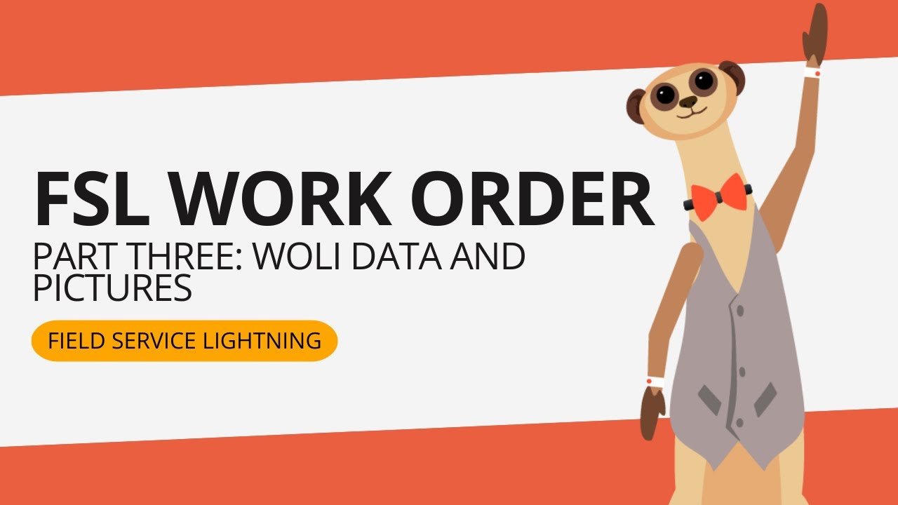 PART 3 - FSL Work Order Service Report - WOLI Data AND Pictures - YouTube