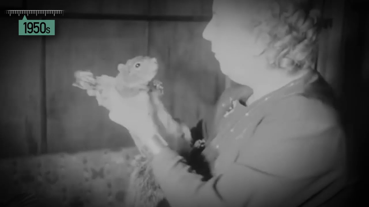 1950s: TRAINED SQUIRRELS - YouTube