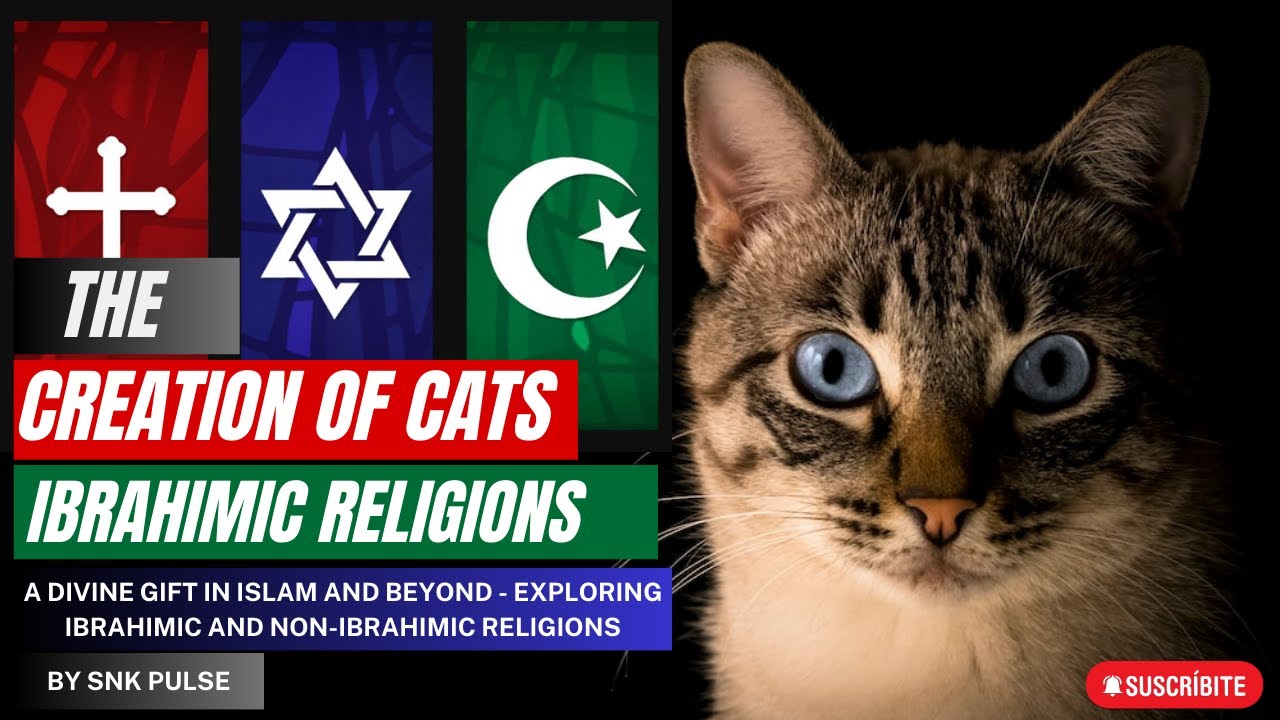 The Creation of Cats: A Divine Gift in Islam & Beyond| Exploring ...