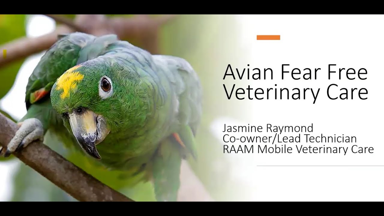 TPC Jan 2024 Zoom Meeting - Jasmine Raymond - Fear Free Veterinary Care ...