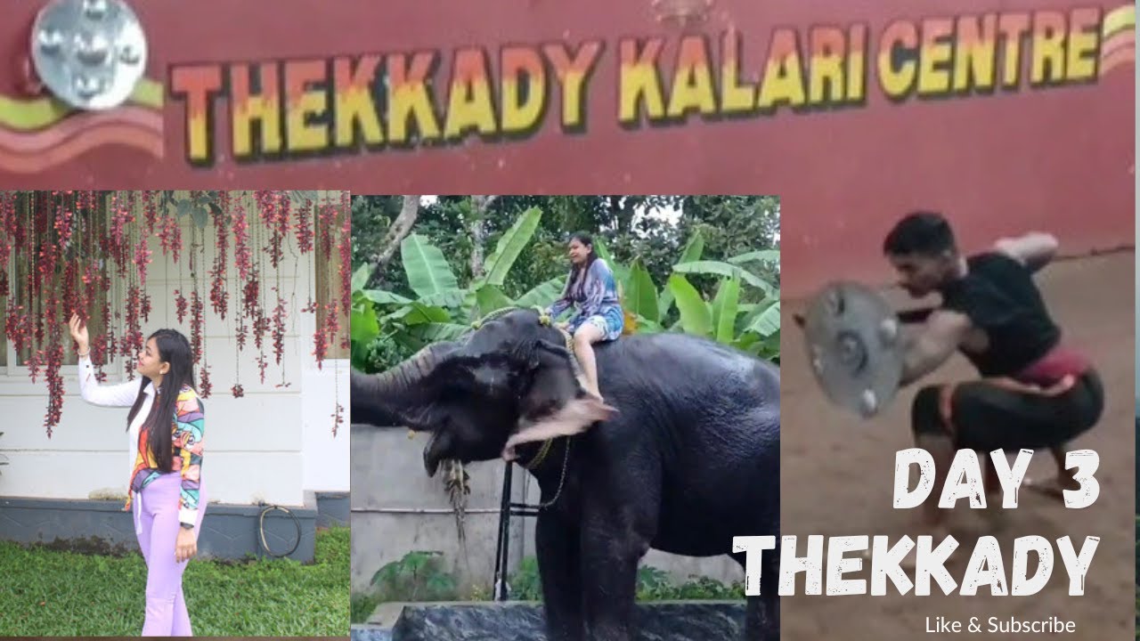 Munnar to Thekkady | Kerala Tourist Places | Elephant Bathing in Kerala ...