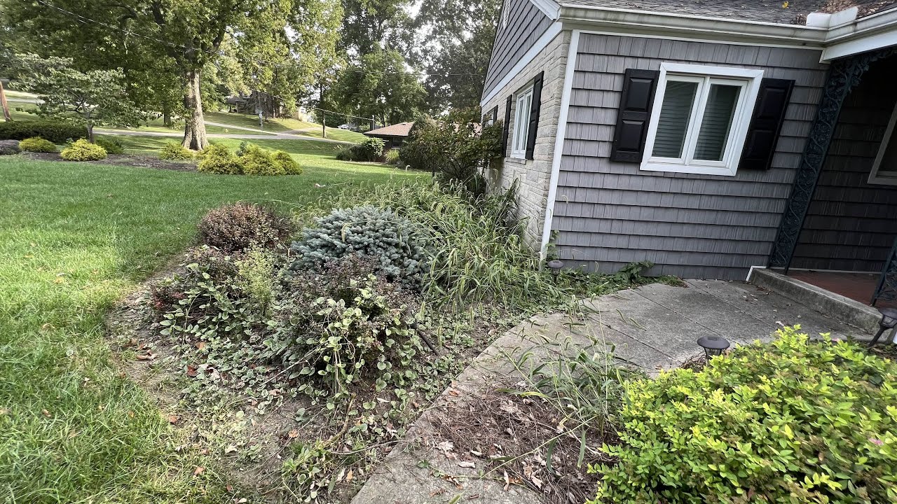 Early Fall flower bed clean up and lawn maintenance - YouTube