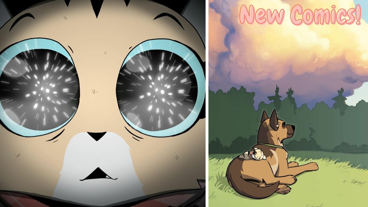 🔥Funny pet comics By Pet_foolery | Animal comics | New Comics - YouTube