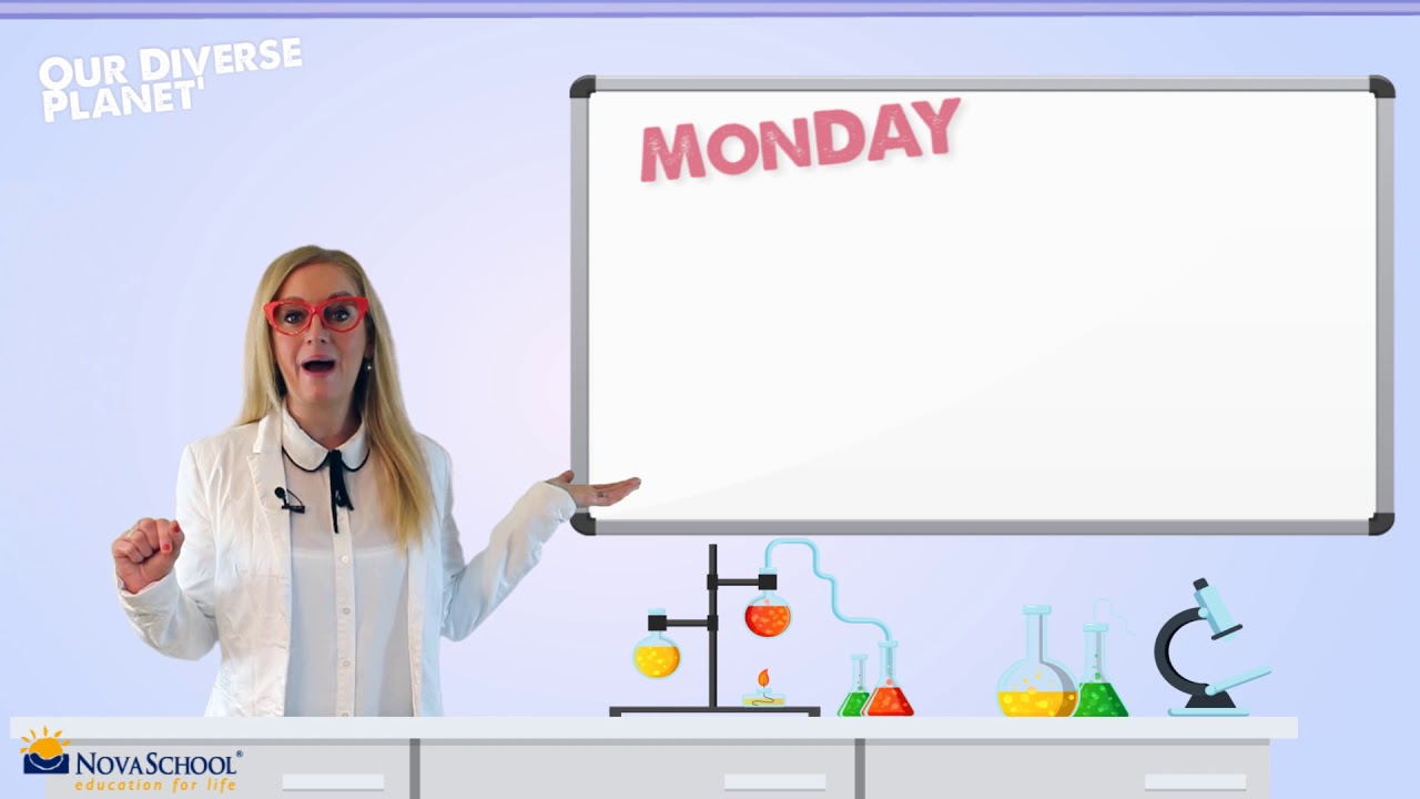 Science Week - Preschool - Monday - YouTube