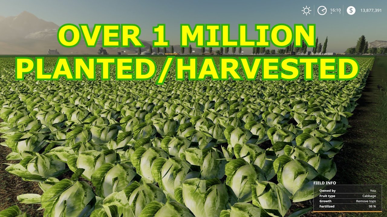 Farm Sim Saturday...1,010,763 Cabbage plant/harvest today...last crop ...