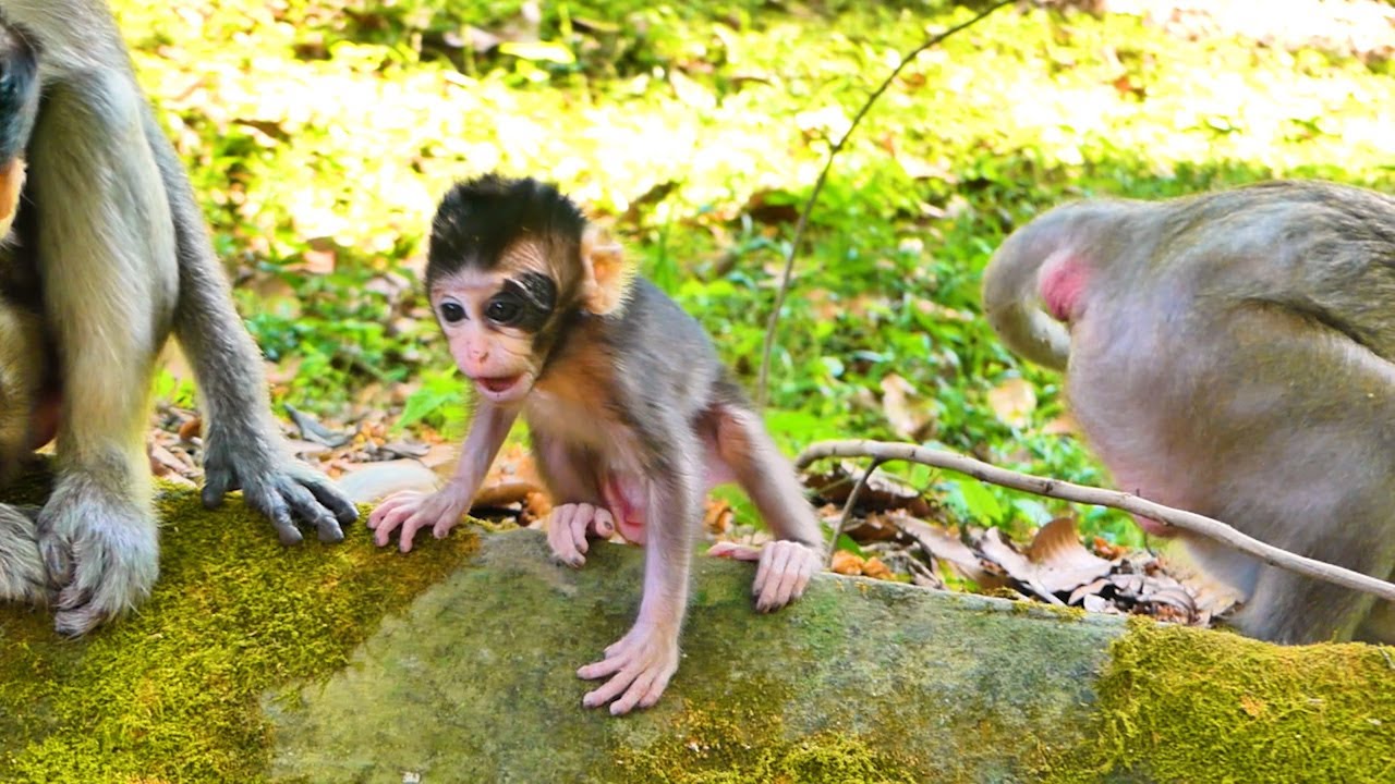 Such A Precious Face With The Little Baby Shiloh From Birthmark Shiloh ...