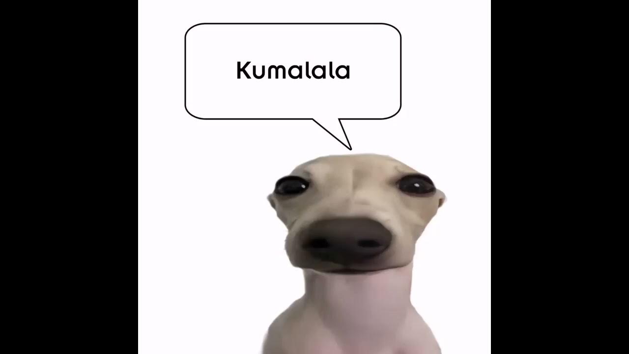 Kumalala Kumalala Kumala Savesta Meme Youtube