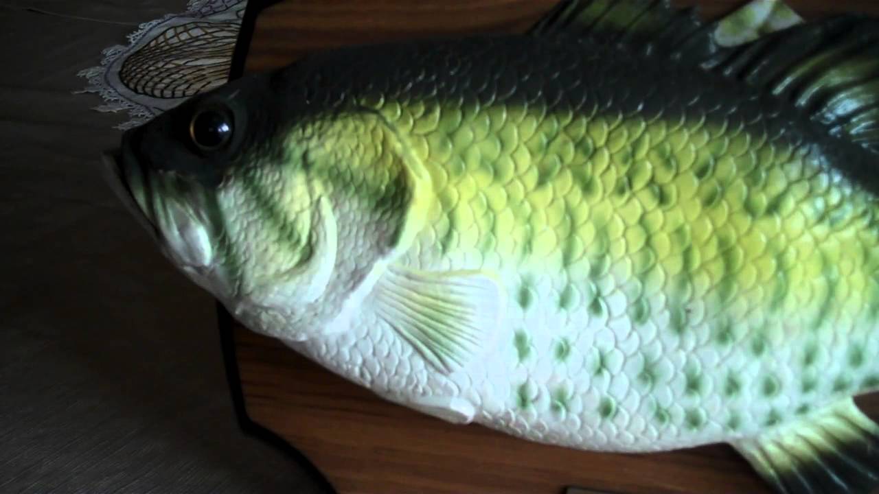 Billy Bass - YouTube