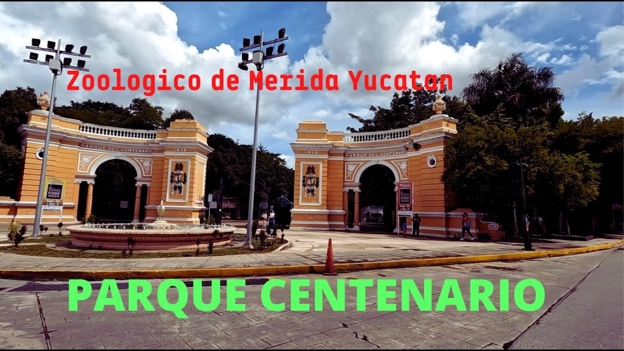Zoológico CENTENARIO de MERIDA YUCATAN, MEXICO. 🦒🦁🙉🐻🦧🚂 | ven a ...