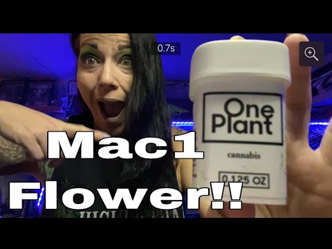 One plant mac1 #medicalmarijuana - YouTube