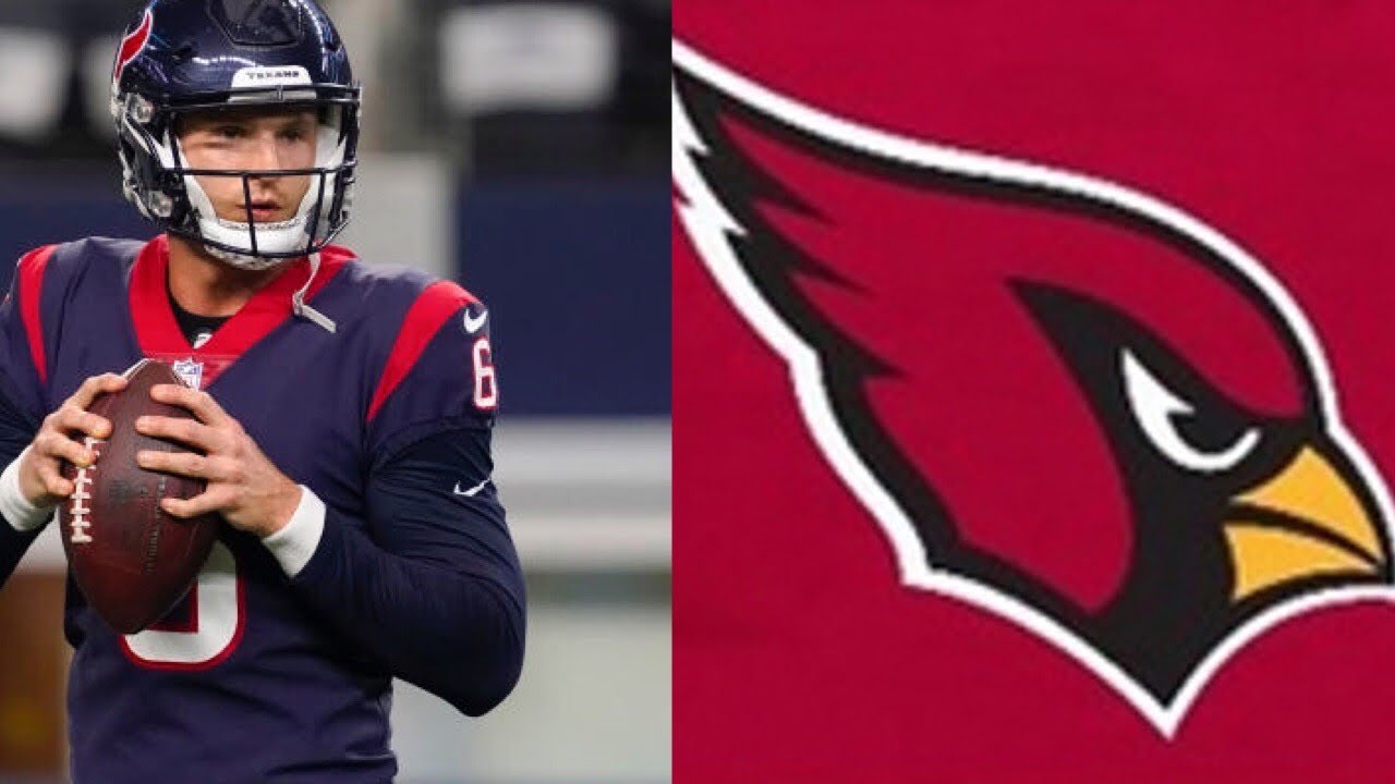 Arizona Cardinals Sign Jeff Driskel Fantasy Football / NFL News - YouTube