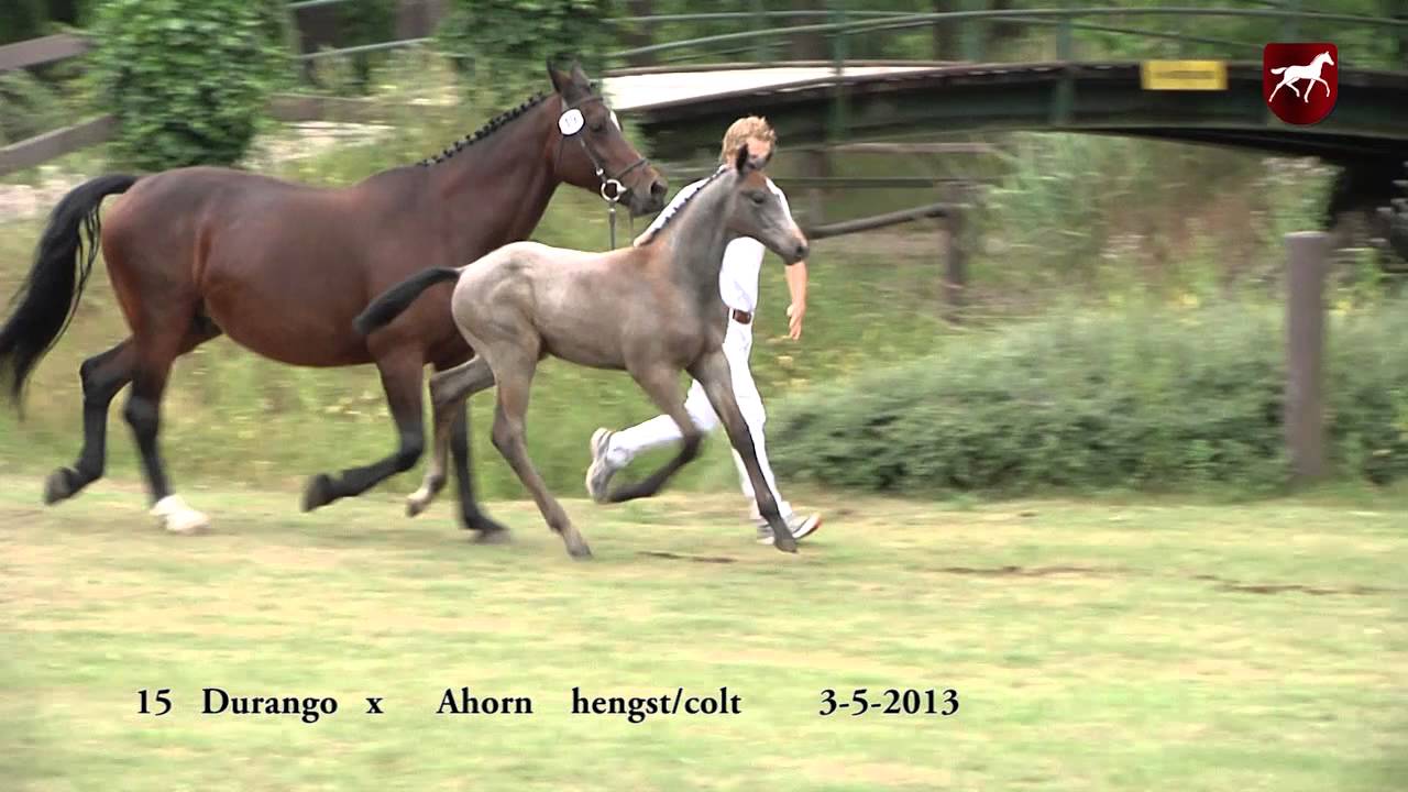 15. Irango - Durango Vdl x Ahorn x Concorde - YouTube