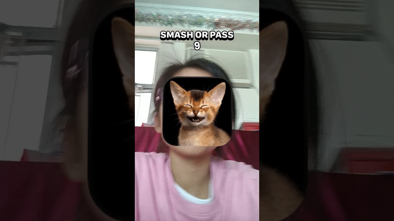 Smash or pass catz - YouTube