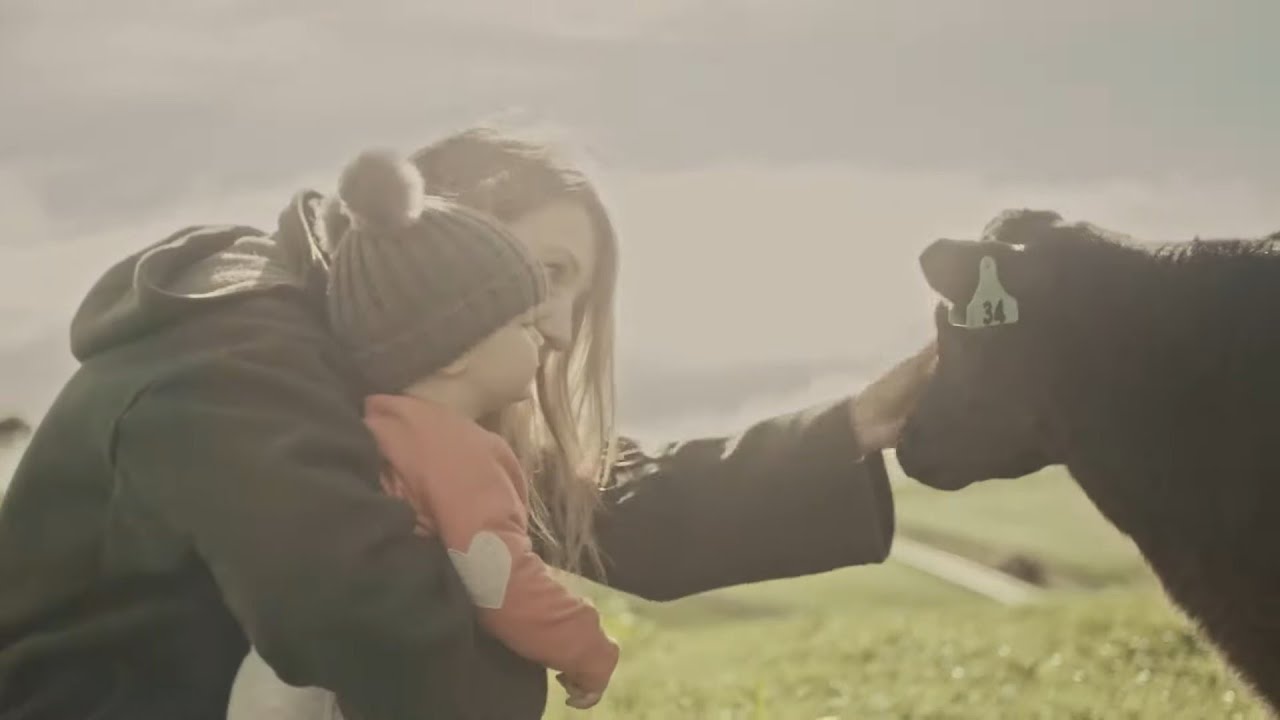 NZAgbiz Calf Love - YouTube