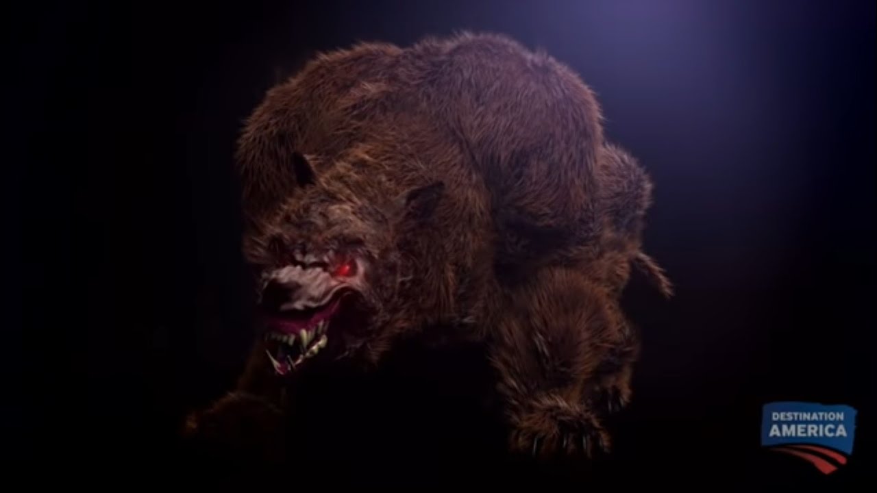 mountain monsters video evidence and footprint pitchure of the bear ...