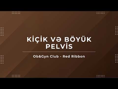 Kiçik və Böyük Pelvis - Ob&Gyn Club