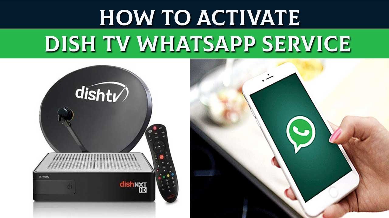 How to Activate Dish TV WhatsApp Service 2022 | Dishtv Help On Whatsapp ...