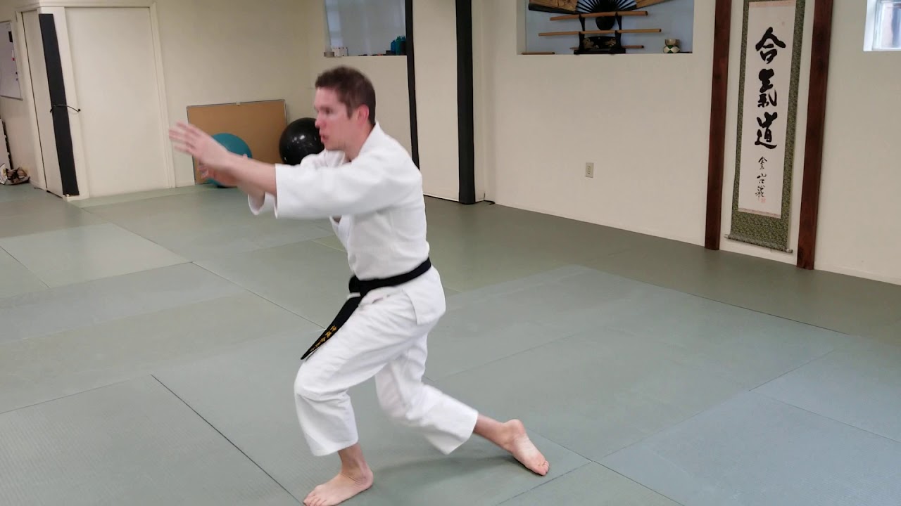Dragons- Advanced Aiki-Kids Session 2 - YouTube
