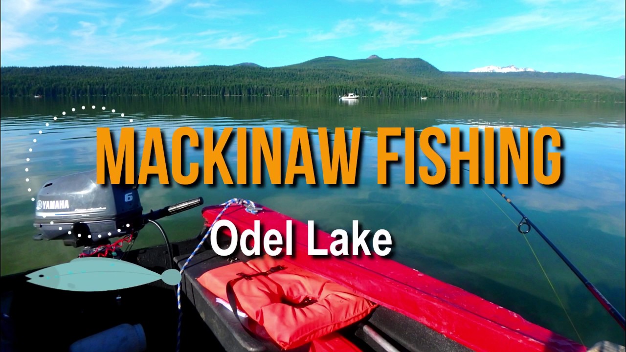 Mackinaw Fishing - Monster of Odel Lake - YouTube