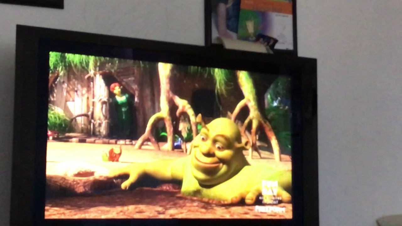 SHREK 4 PART 8 - YouTube
