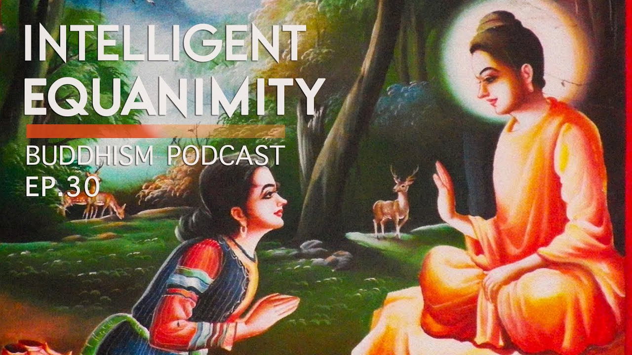 Buddhism Podcast #30: Intelligent Equanimity - YouTube