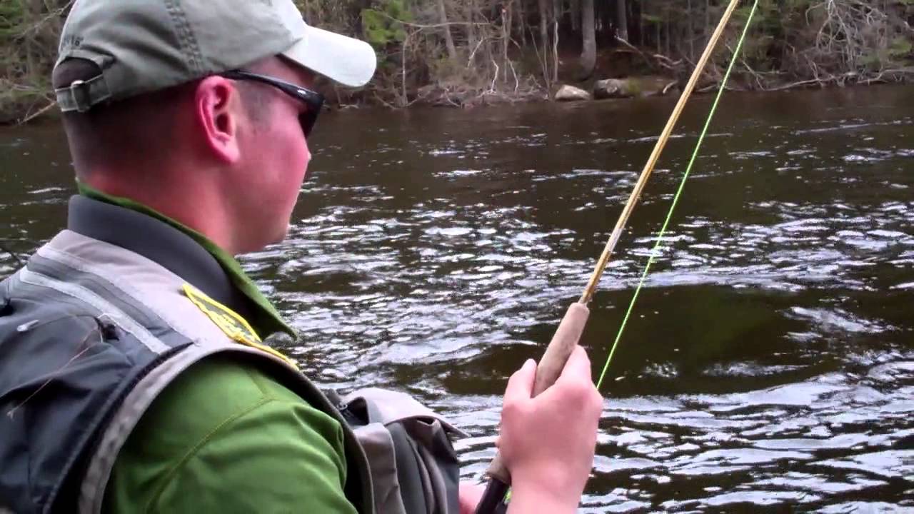 Salmon Run! Upper Connecticut River Report for May 18, 2011 - YouTube