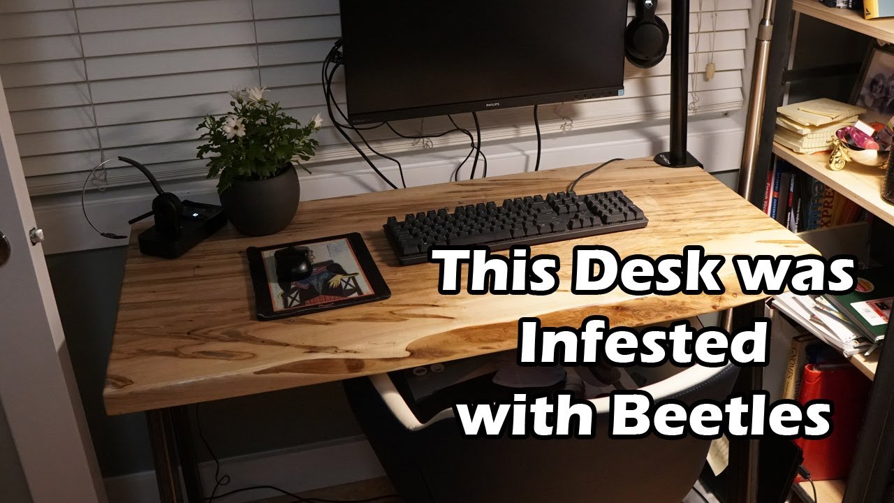 How to Build a Live Edge Desk | Ambrosia Maple Wood Top - YouTube