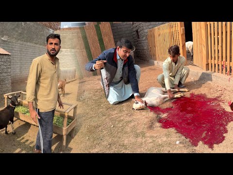 Milo Ko Wahab Bhiya Ny Zibah kr Dya💔Turab Shocked 😳