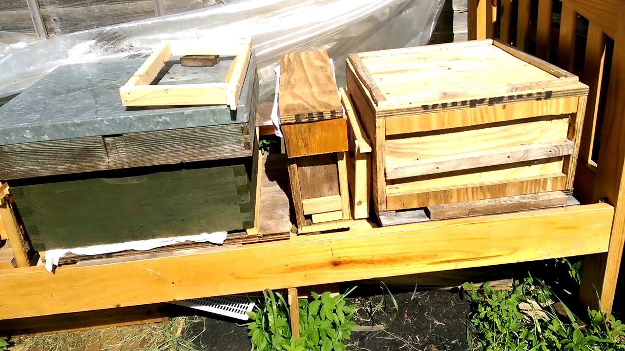 Inespection Walk away splits nuc - YouTube