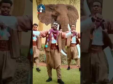 Kenyalı Kürtlerden /Diyarbakır Yolunanya #kürt #diyarbakir #kürtçe