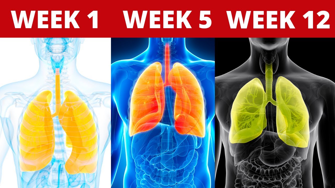 What Happens to Your Body When You Quit Smoking Cigarettes | Complete ...