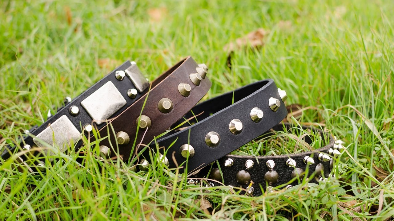 Fashion Dog Collars for Walking and Training - YouTube