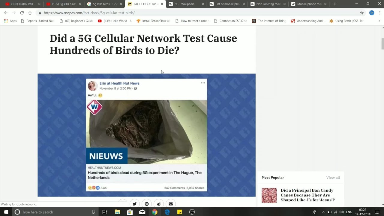 5G Test kills Birds "Fake News"!!! - YouTube