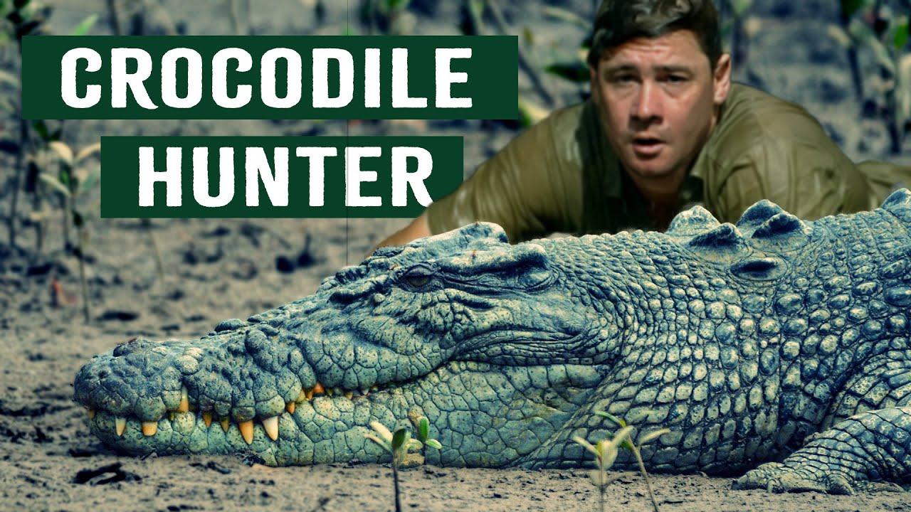 Steve Irwin Admires Crocs for 50 Minutes - YouTube