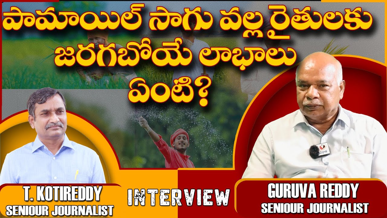 పామాయిల్ సాగు వల్ల రైతులకు జరగబోయే లాభాలు ఏంటి? | Benefits of Palm Oil ...