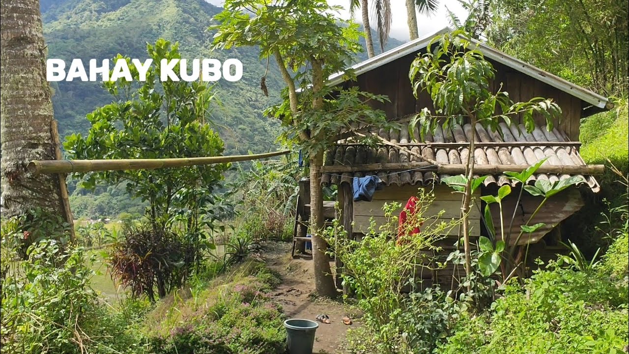 Bahay Kubo - YouTube