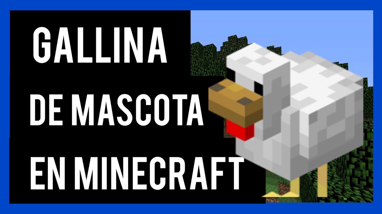 como tener una gallina de mascota en minecraft - YouTube
