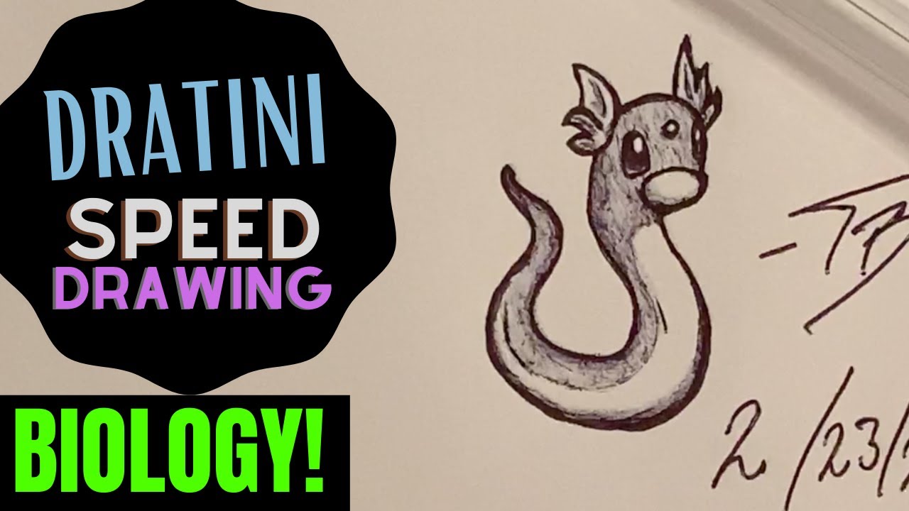 DRATINI BIOLOGY! POKEMON SPEED DRAWING! How to draw the mysterious ...
