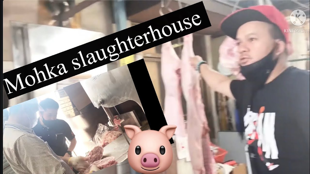 Japan slaughter house,Part 2 - YouTube