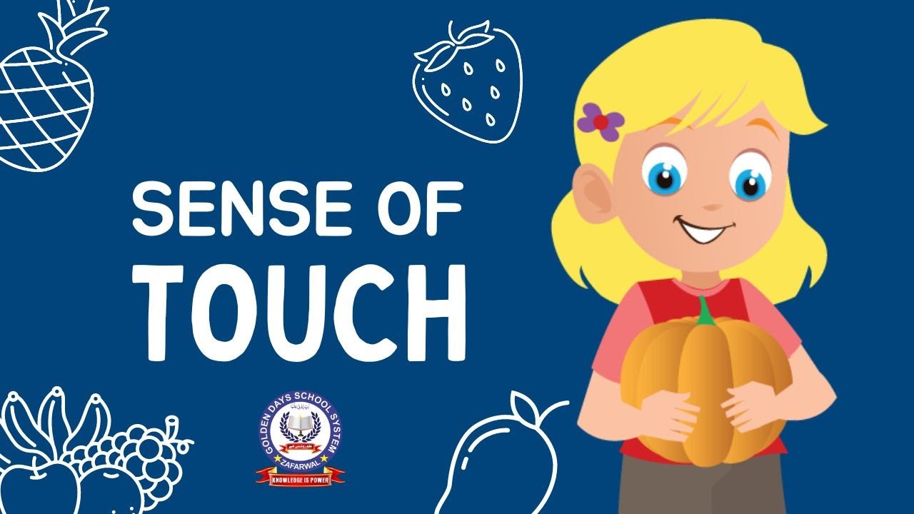 Sense of Touch - Exploring the Function and Care of Skin - YouTube