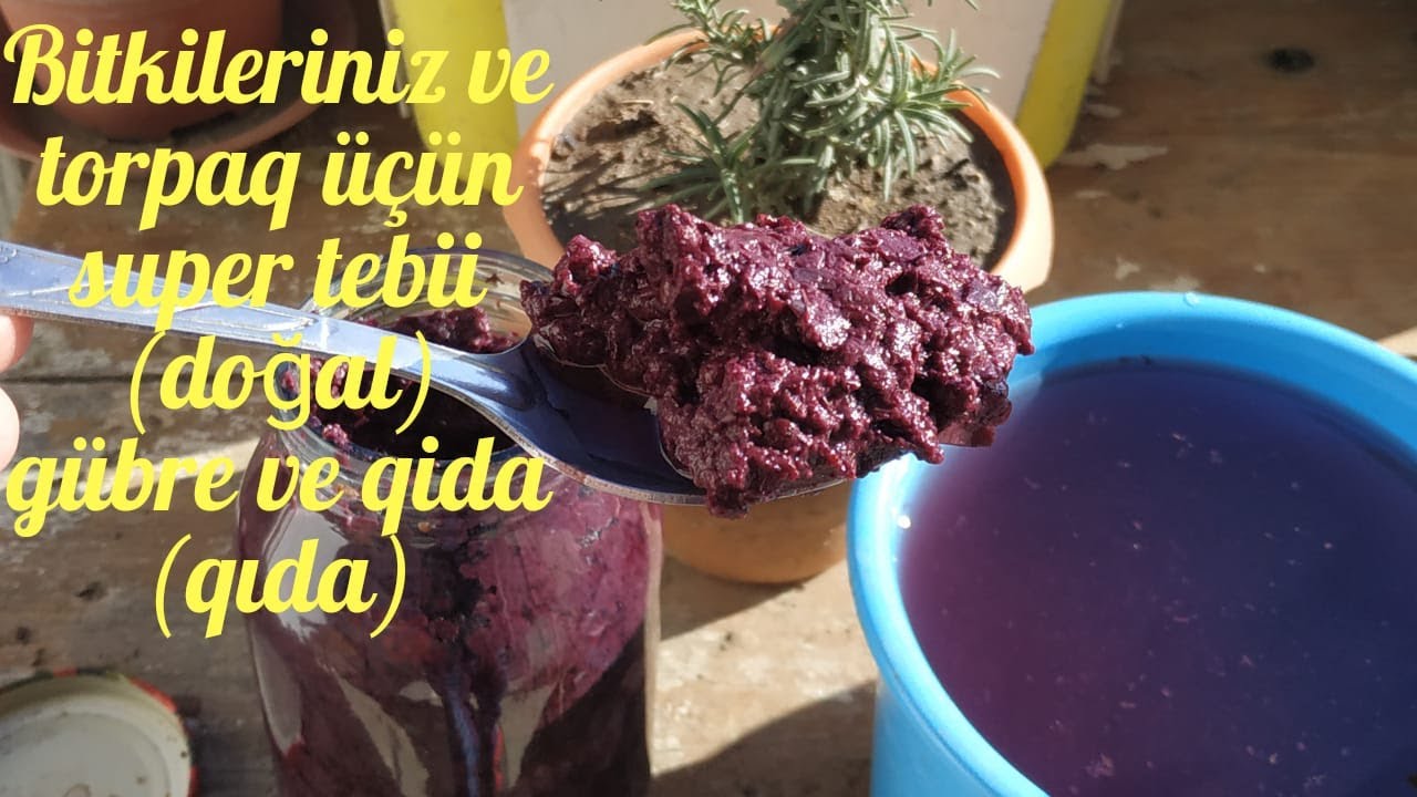 BİTKİLER VE TORPAQ ÜÇÜN TEBİİ (DOĞAL) GÜBRE VE QİDA. BÖCEKLENMEYE ...