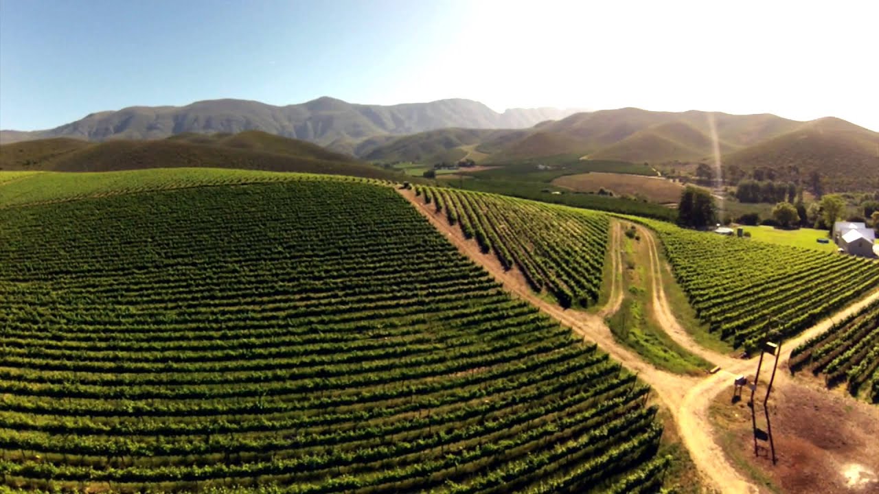 Kranskop Wines - YouTube