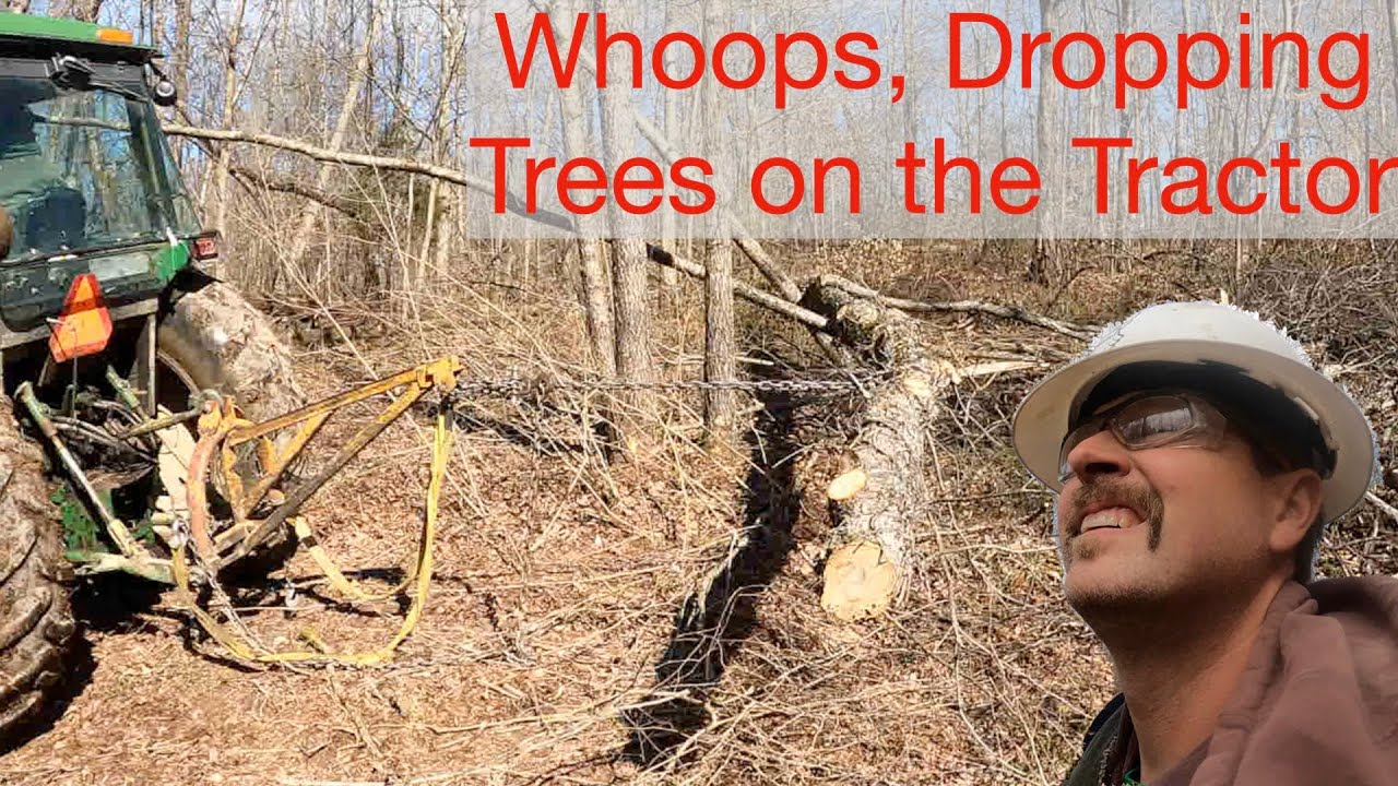 Whoops, Dropping Trees on the Tractor - YouTube