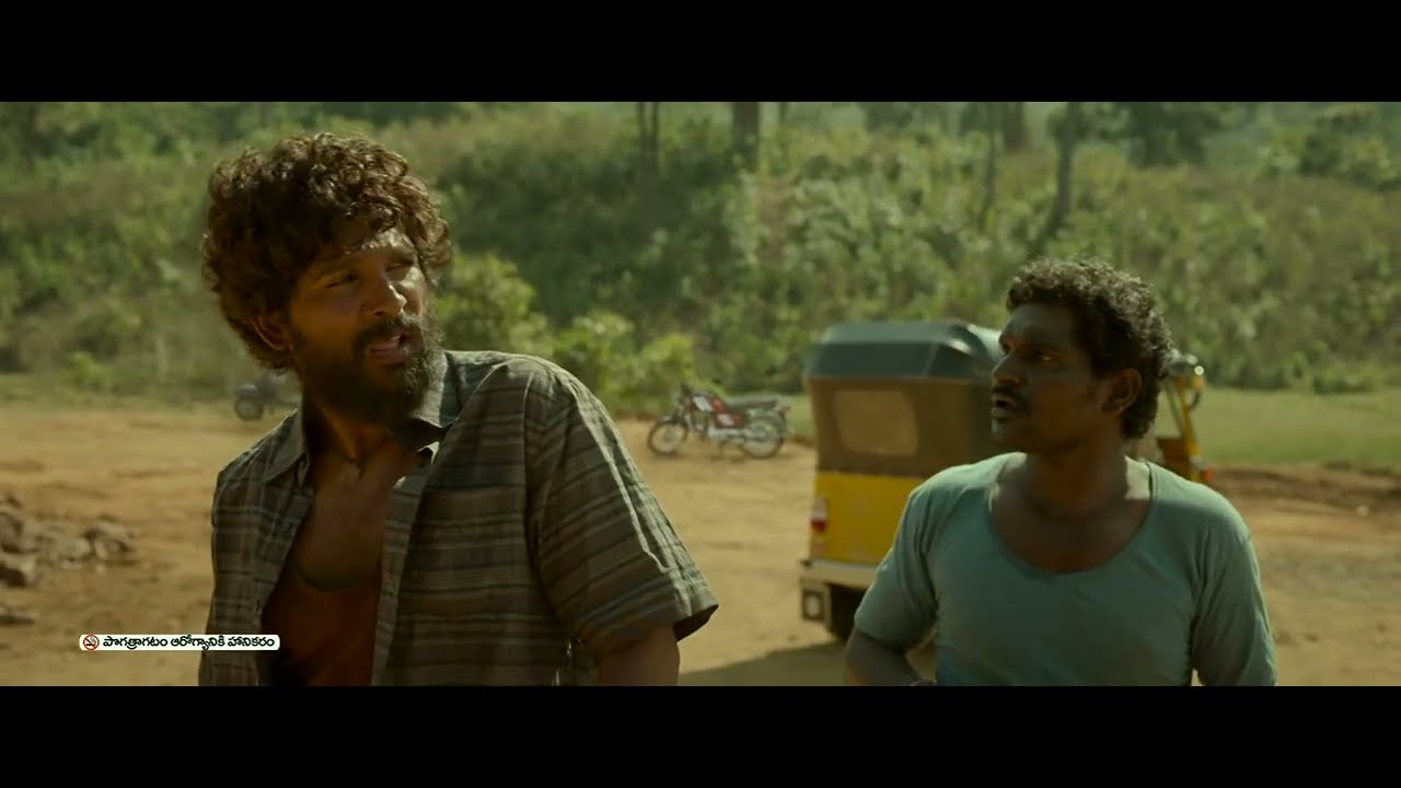 pushpa movies clip seen video - YouTube