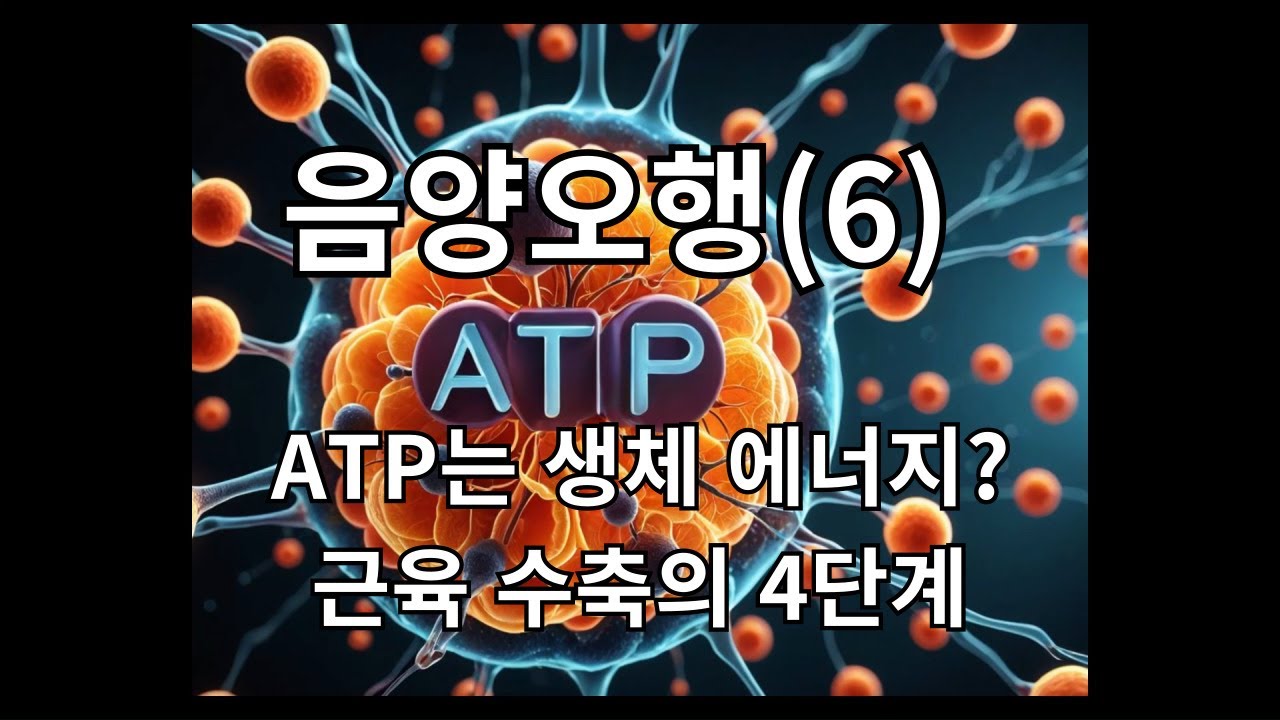 음양오행(6) - ATP는 인체 에너지가 맞는가? 근육 수축의 4단계. 만물의 에너지 자유전자. ATP는 근육 이완제 ...