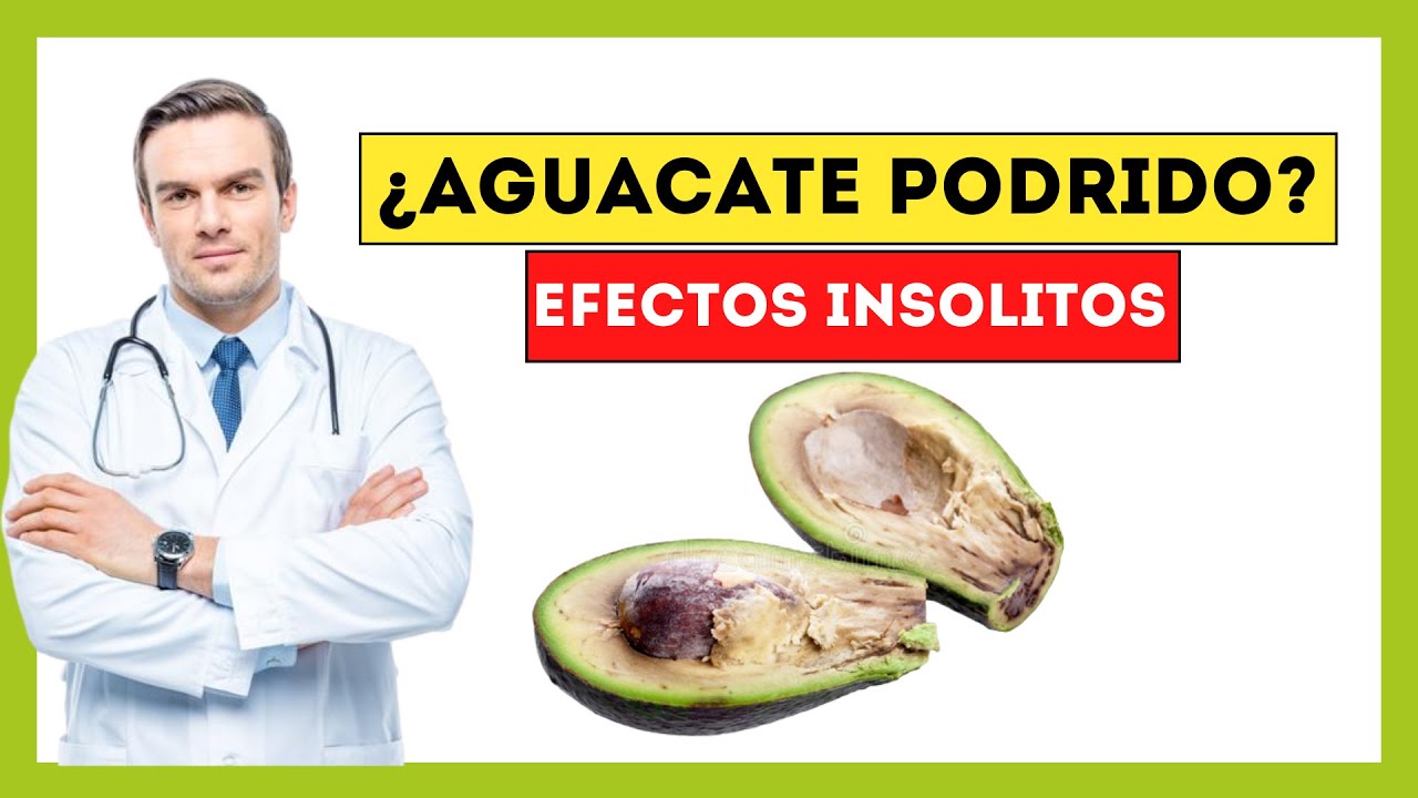 Comer Aguacate Podrido [Echado a Perder] - Descubre el lado Oscuro que ...