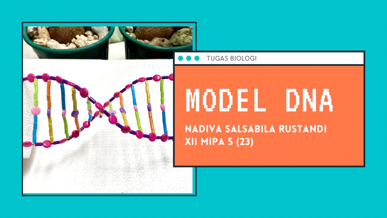 Membuat Model DNA - YouTube